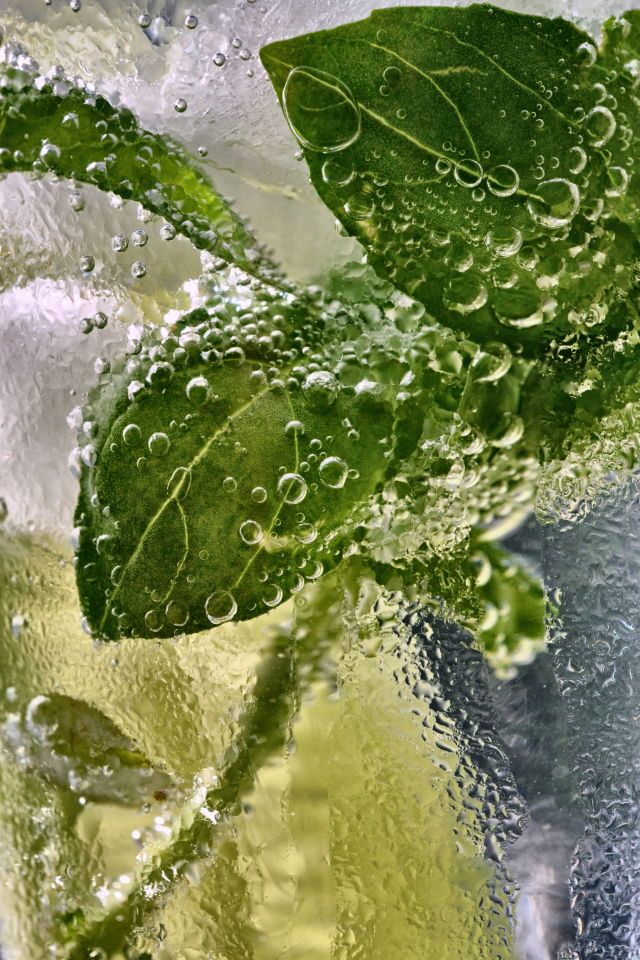 Agrumen Aldehyde 710021 (Symrise) / Агрумен альдегид - PARFCLUB