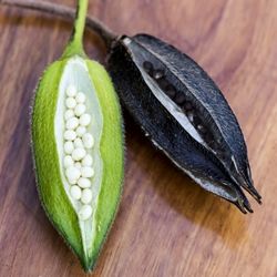 Helvetolide® (Firmenich) / Гельветолид - PARFCLUB