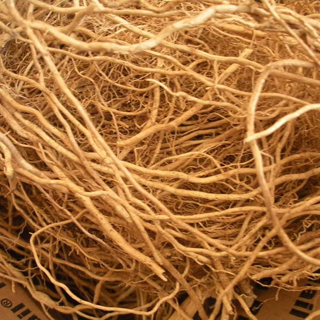 Vetiver Java EO (ВЕТИВЕР 100% ЭФИРНОЕ МАСЛО) ЯВА