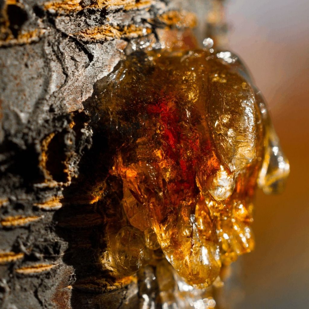 Парфюмерные ингредиенты от лучших европейских производителей